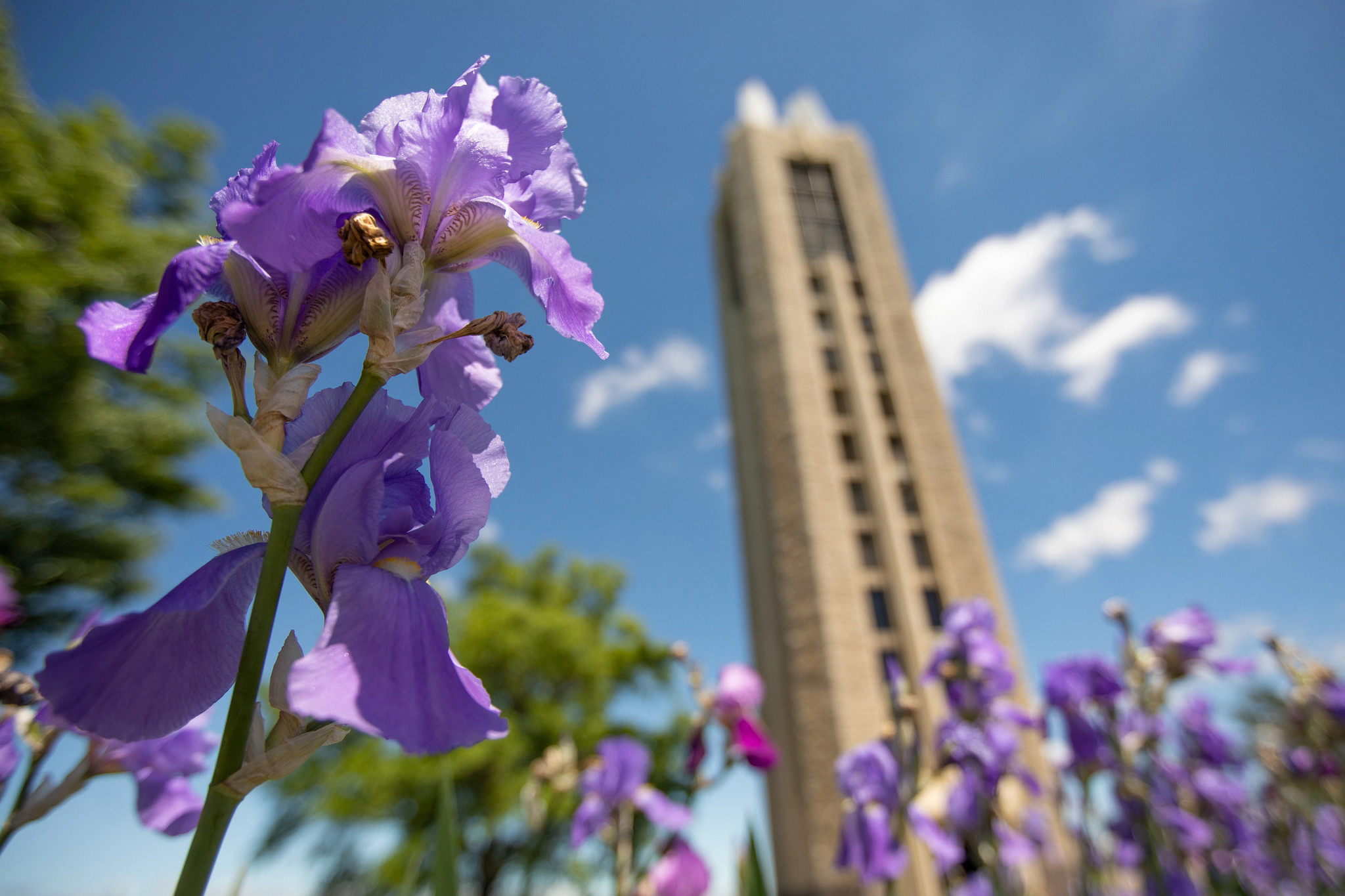 Homepage | New Employee Welcome